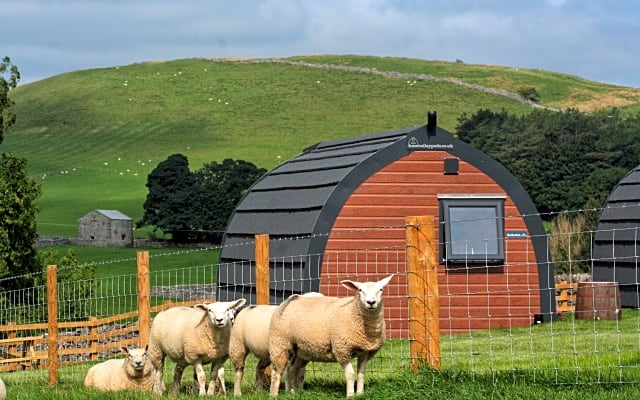 Is Coxons Farm Glamping Pods TentBox-friendly? | TentBoxCamps