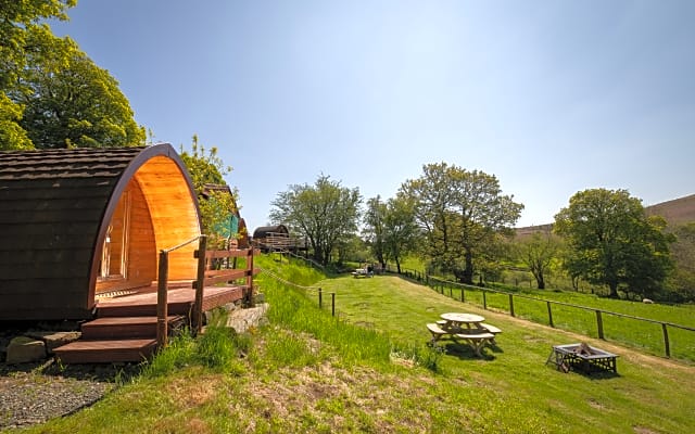 Is Ty Grug Pods TentBox-friendly? | TentBoxCamps