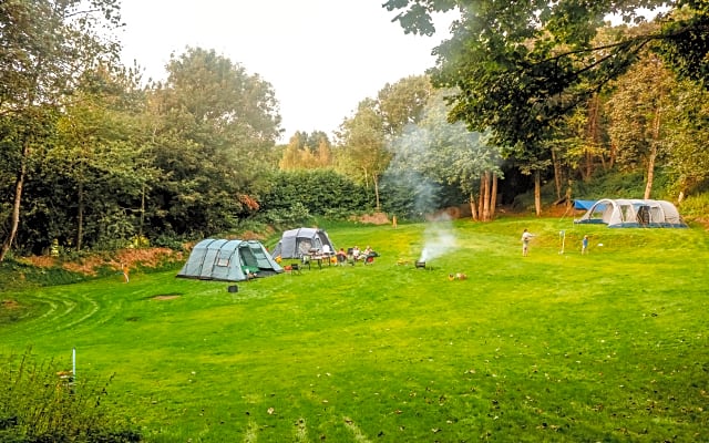 Is Roundwood Dell Campsite TentBox-friendly? | TentBoxCamps