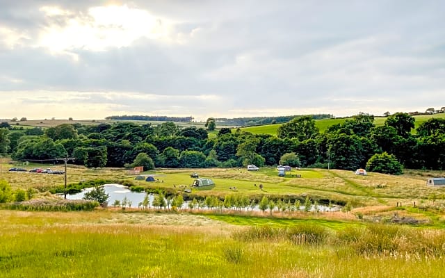 Is High Hall Campsite TentBox-friendly? | TentBoxCamps